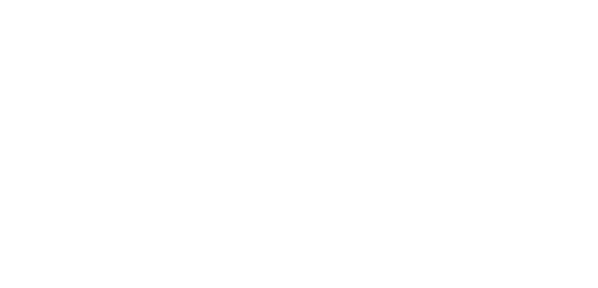 MGI Engineering